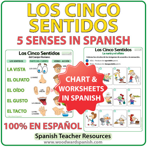 Los Cinco Sentidos Spanish Worksheets Woodward Spanish